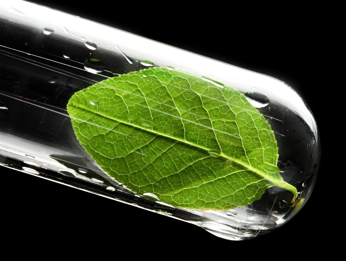 Production as per your requirement | Orgentis Chemicals GmbH